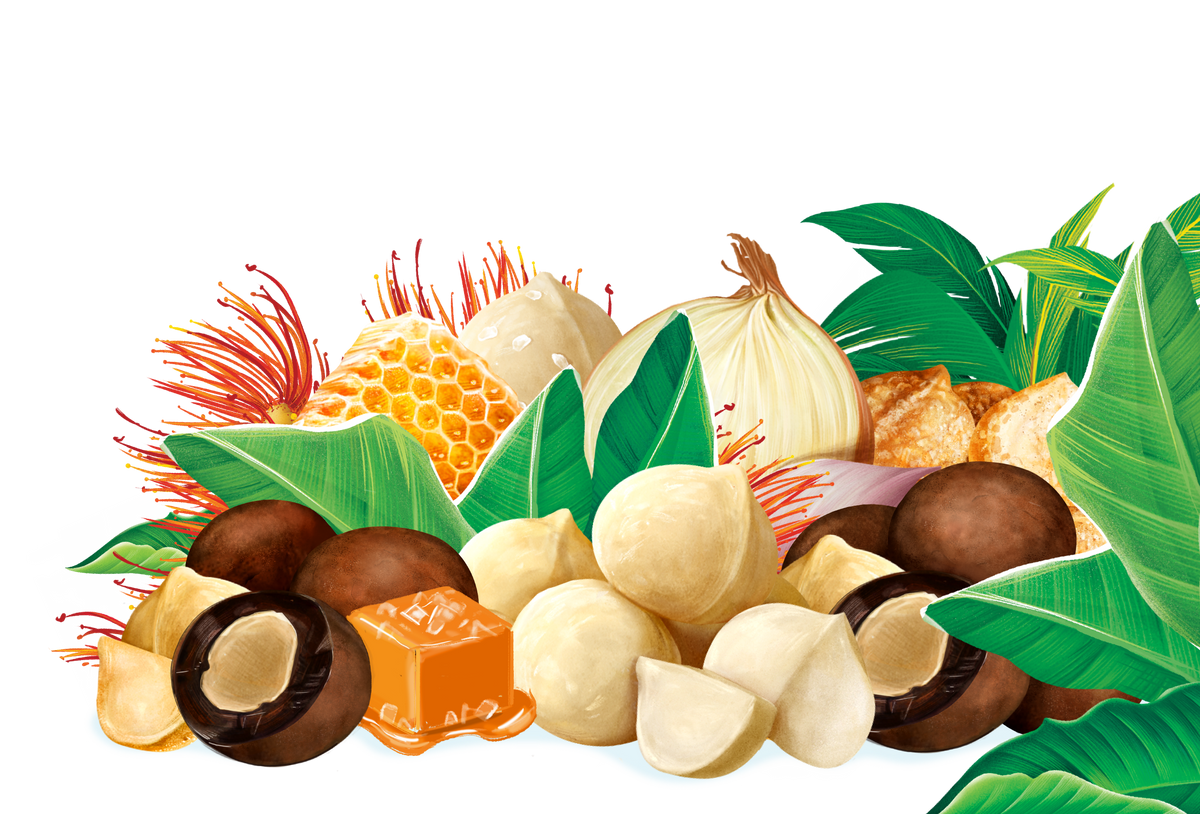 Macadamia Mania: Fun Facts You Didn't Know About Your Favorite Nut ...