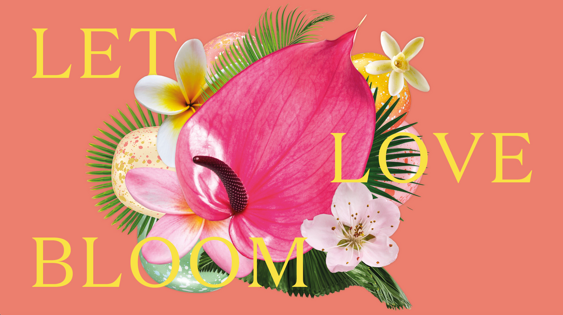 KOHO Spring Collection